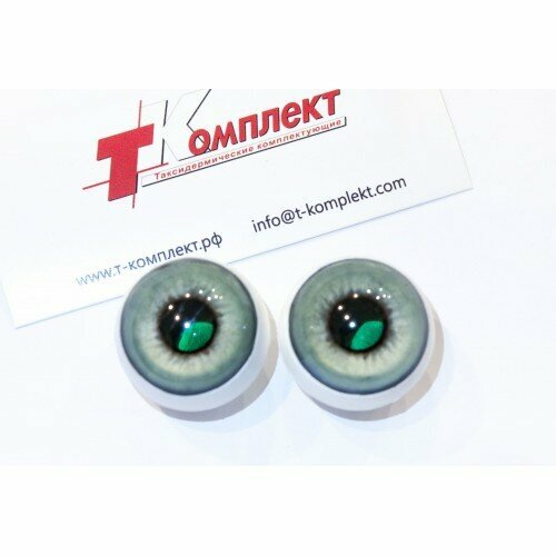 Hayvan postu doldurma T-Komplekt, Saint‑Petersburg, foto