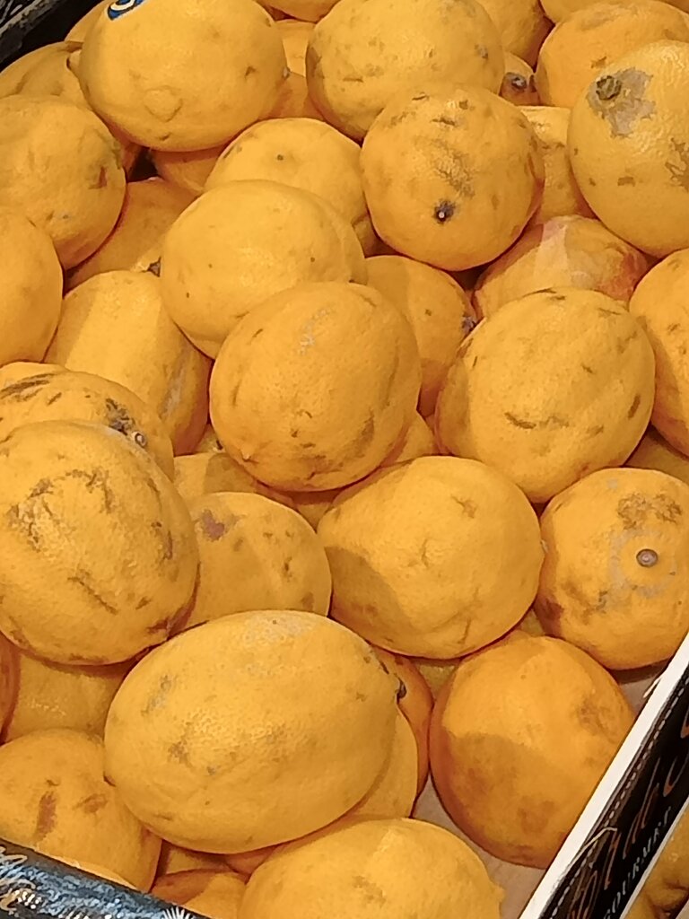 Market V1-Pervyj vybor, Moskova, foto