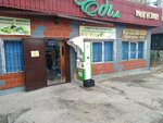 Qiwi (Eskeldi Bi Street No:238), ödeme terminali  Taldıkorgan'dan