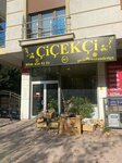 Çiçekçi (Dr. Ahmet Özcan Cad., No:185A, Meram, Konya), çiçekçiler  Konya'dan