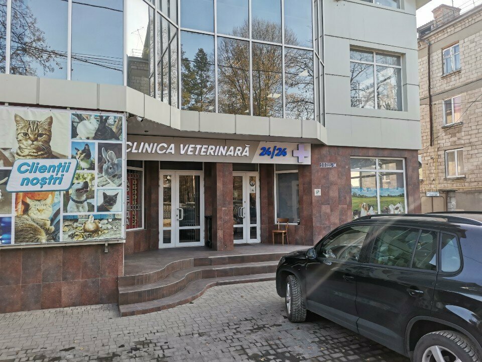 Veteriner klinikleri Zoo-Doctor, Beltsi, foto