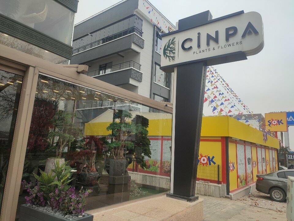 Yapay bitki ve çiçek Çinpa, Ankara, foto