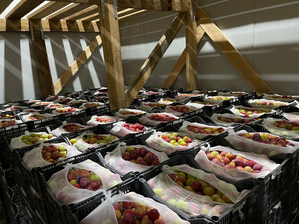 Ortaokul 38-idum, Semerkant eyaleti, foto