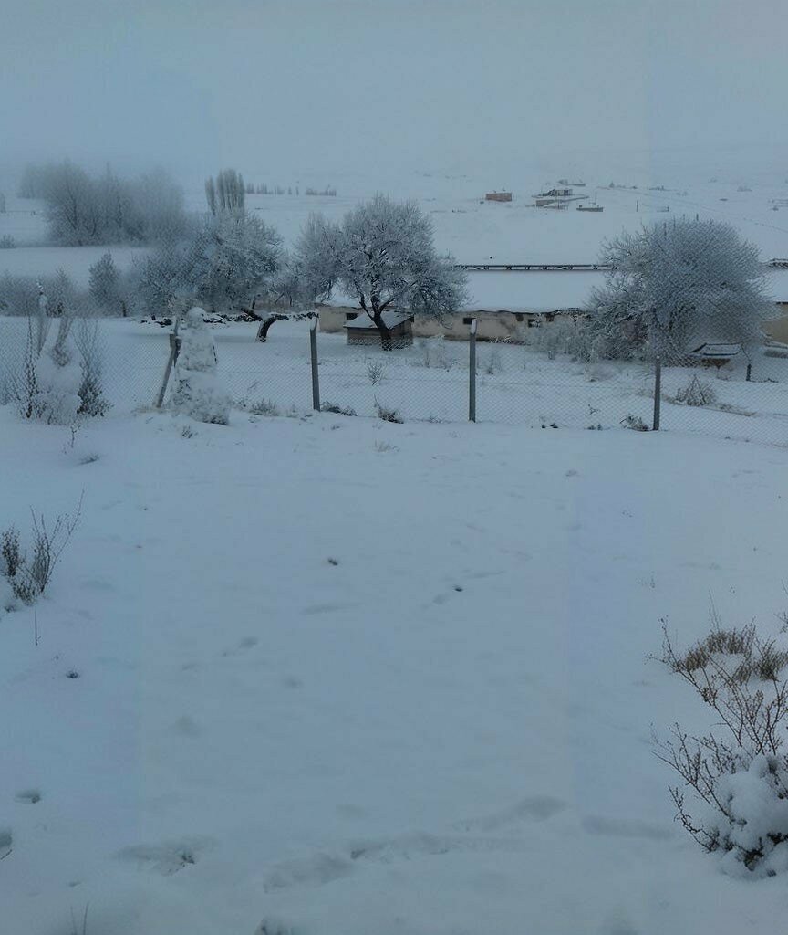 Muhtarlıklar Alişar Köy Muhtarlığı, Akpınar, foto