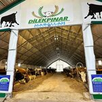 Dilekpınar çifliği yalova (Yalova, Çiftlikköy, Taşköprü Beldesi, Taşköprü Merkez Mah., Toprak Sok., 1), gıda işleme ekipmanları firmaları  Çiftlikköy'den