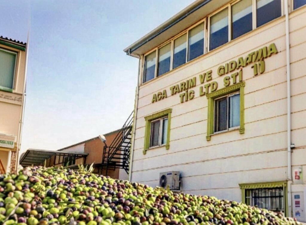 Sanayi kuruluşu Aca Zeytin Yağı Fabrikası, Hassa, foto