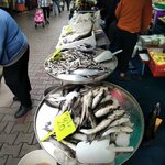 Ortaca Balıkçılık (Muğla, Ortaca, Terzialiler Mah., Pazar Sok., 21), balık ve deniz ürünleri  Ortaca'dan