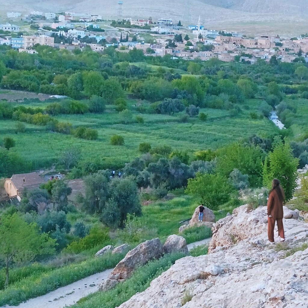 Muhtarlıklar Ziyaret Mahalle Muhtarlığı, Kızıltepe, foto