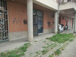Книговодствена агенциjа (ulica Cara Dušana No:56A), gezgin kitap  Novi Sad'dan