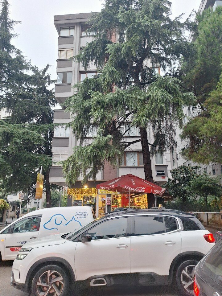 Ev temizlik ürünleri Esse, İstanbul, foto
