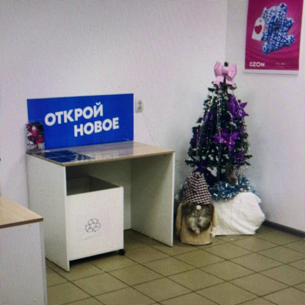 Teslimat noktası Ozon, Arhangelskaya oblastı, foto