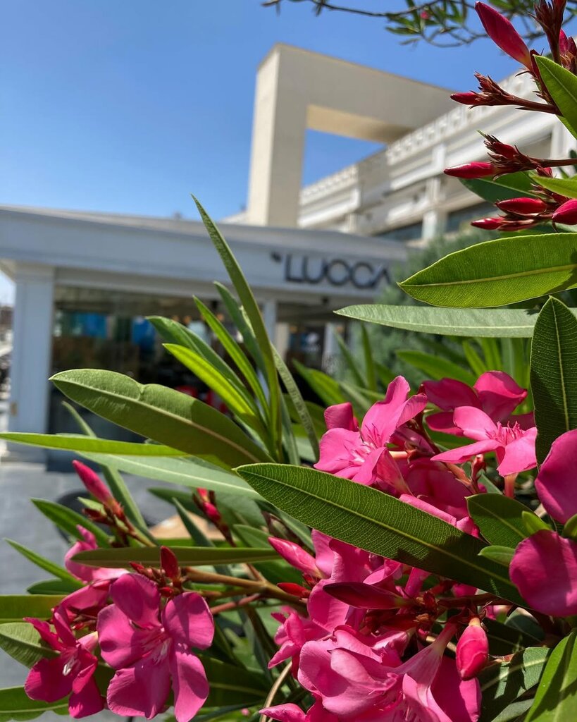 Restoran By Lucca, İstanbul, foto
