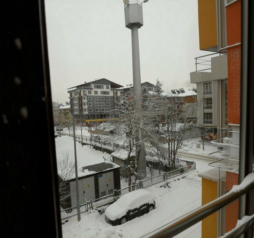 Muhtarlıklar Kültür Mahalle Muhtarlığı, Bingöl, foto