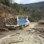 Mehmet Ali Özkan - Nakliyat (Rize, Kalkandere, Rize Cad.), taşımacılık hizmetleri  Kalkandere'den