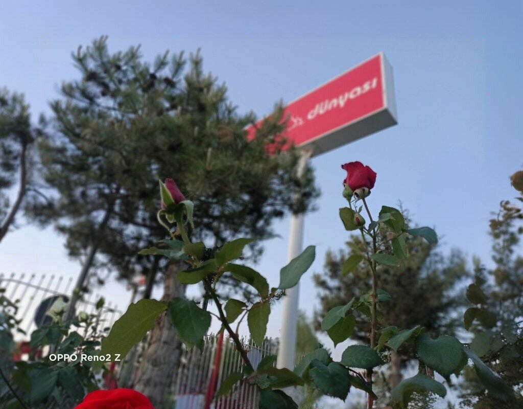 Yemek şirketleri Yemek Dünyası, Eskişehir, foto