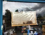 Köroğlu Market (Kahramanmaraş, Göksun, Ayhan Taner Ekici Blv., 26), market  Göksun'dan