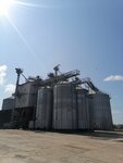 Элеватор (Ivanovo Region, Gavrilovo-Posadskiy rayon, Shekshovskoye selskoye poseleniye, selo Podolets), silo  İvanovskaya oblastından