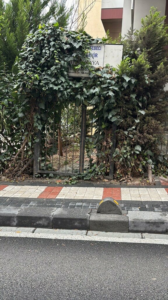 Mali müşavir Serbest Muhasebeci Mali Müşavir İsmail Akkaya, İstanbul, foto