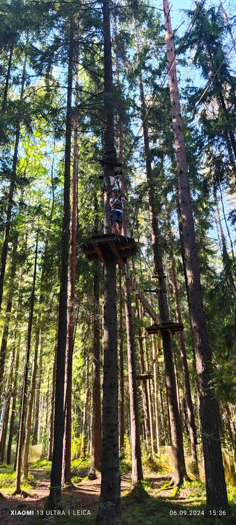 i̇pli oyun park Лиана-парк, Saint‑Petersburg ve Leningradskaya oblastı, foto