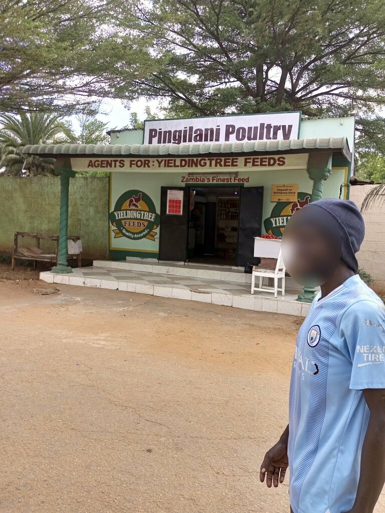 Kanatlı hayvan ürünleri ve yumurta Pingilani poultry, Lusaka, foto