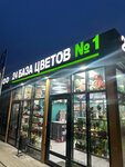 База цветов (No:49, Dzerzhinskogo Microdistrict), çiçekçiler  Balaşiha'dan