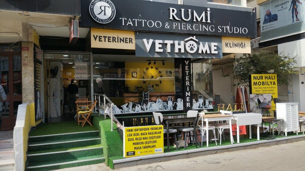 Veteriner klinikleri İstanbul Vethome Veteriner Kliniği, İstanbul, foto