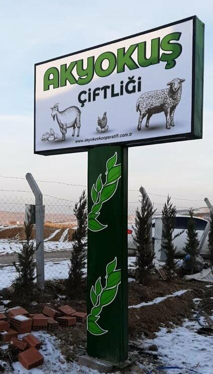 Hayvancılık Akyokuş Kooparetifi, Konya, foto