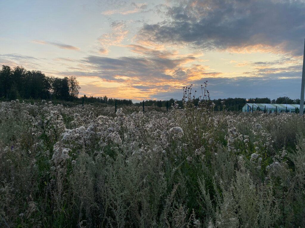 Hastaneler ГБУЗ ОКБ № 3 Челябинский областной инфекционный центр, корпус 4В, Çeliabinskaya oblastı, foto