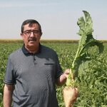 Ss Konya Pancar Ekicileri Kooperatifi (Gevrekli Mah., Ömer Karabulut Cad., No:109, Seydişehir, Konya), dernekler, birlikler  Seydişehir'den