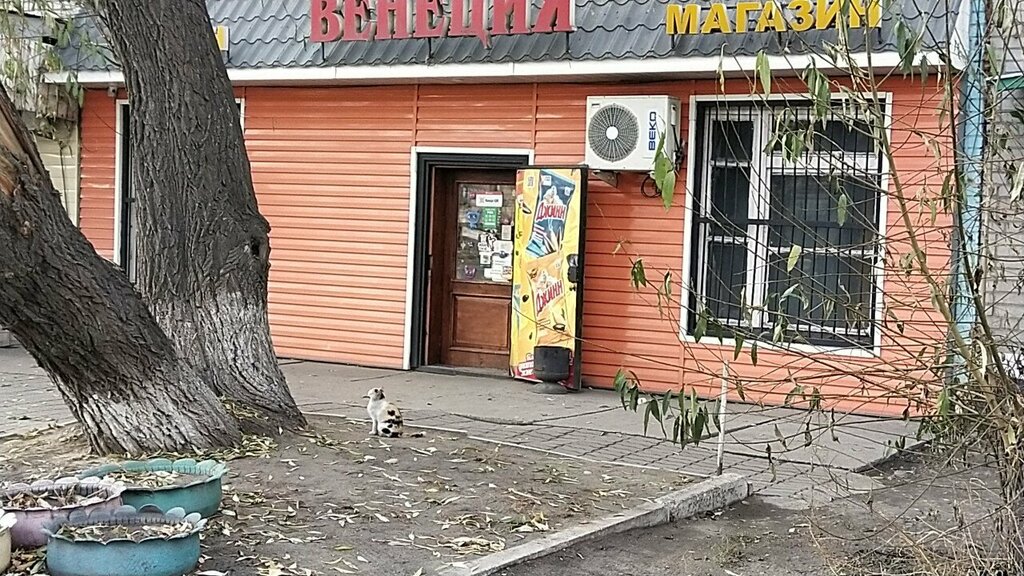 Market Venice, Semey, foto