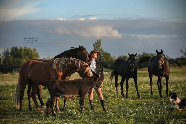 At ve binicilik kulüpleri Colt club Revel, Saint‑Petersburg ve Leningradskaya oblastı, foto