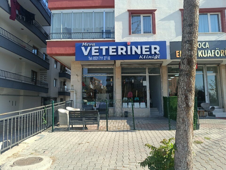 Veteriner klinikleri Meva Veteriner Kliniği, Ankara, foto