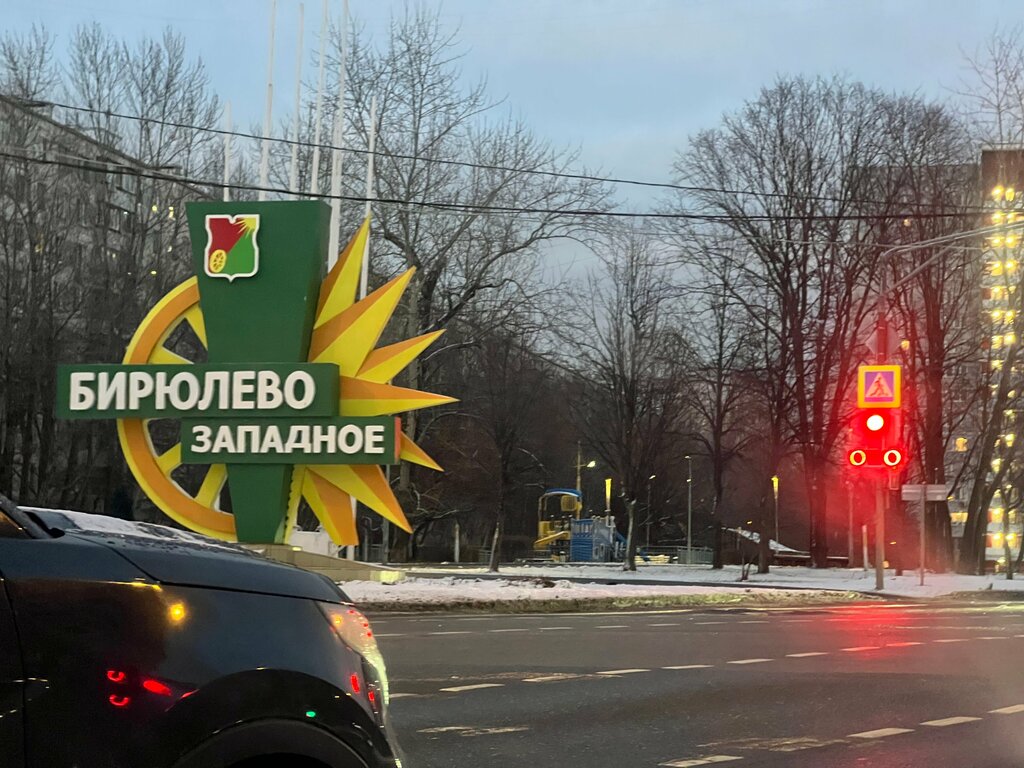 Giriş işareti Район Бирюлёво Западное, Moskova, foto