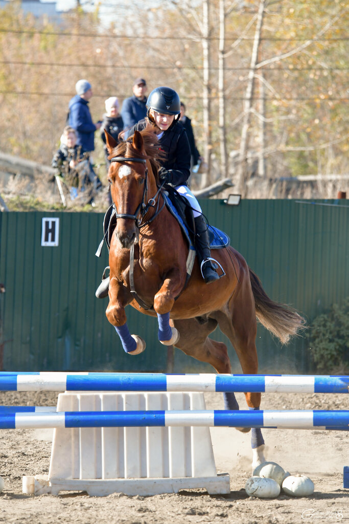At ve binicilik kulüpleri Favorit, Detsko-Yunoshesky konny tsentr, Novokuznetsk, foto