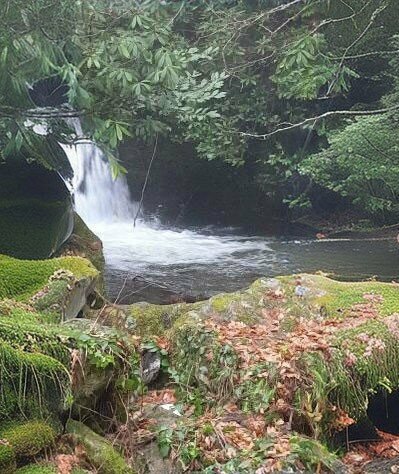 Muhtarlıklar Dursun Köy Muhtarlığı, Bozkurt, foto