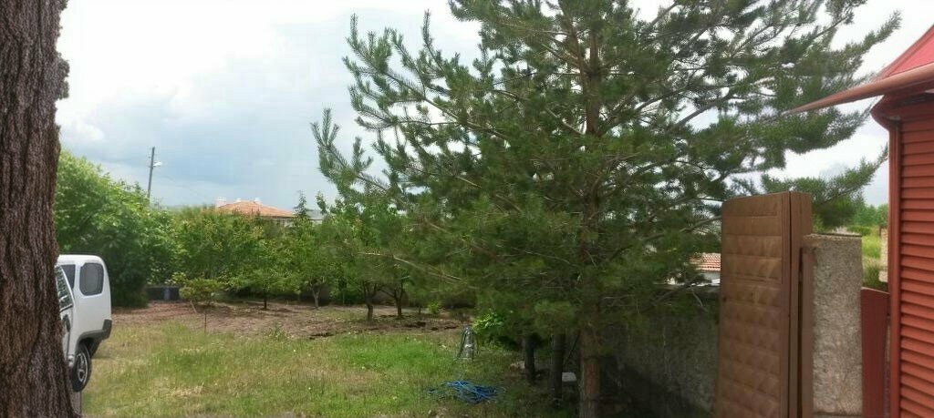 Muhtarlıklar Altunçanak Köyü Muhtarlığı, Ankara, foto