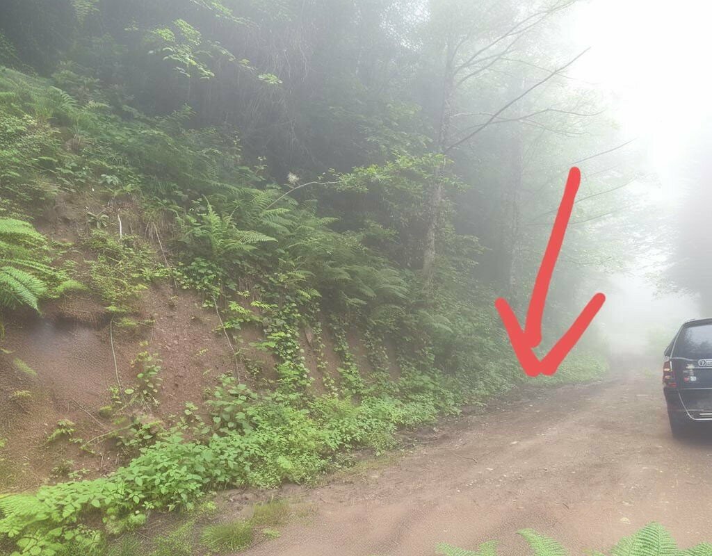 Turistik yerler Vazelon Manastırı Patika Yolu, Maçka, foto