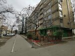 Advokat Aleksandar Kovačević (ulitsa Maksima Gorkogo No:12, Novi Sad), avukatlar  Novi Sad'dan