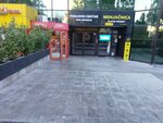 Evropski institut za astrologiju (Palmira Toljatija Street No:Ortodent Snimanje Zuba), kurs  Belgrad'dan