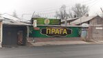 Tan and Co (Qara Tóbe kóshesі No:26к1), bira dükkanı  Çimkent'ten (Şımkent'ten)