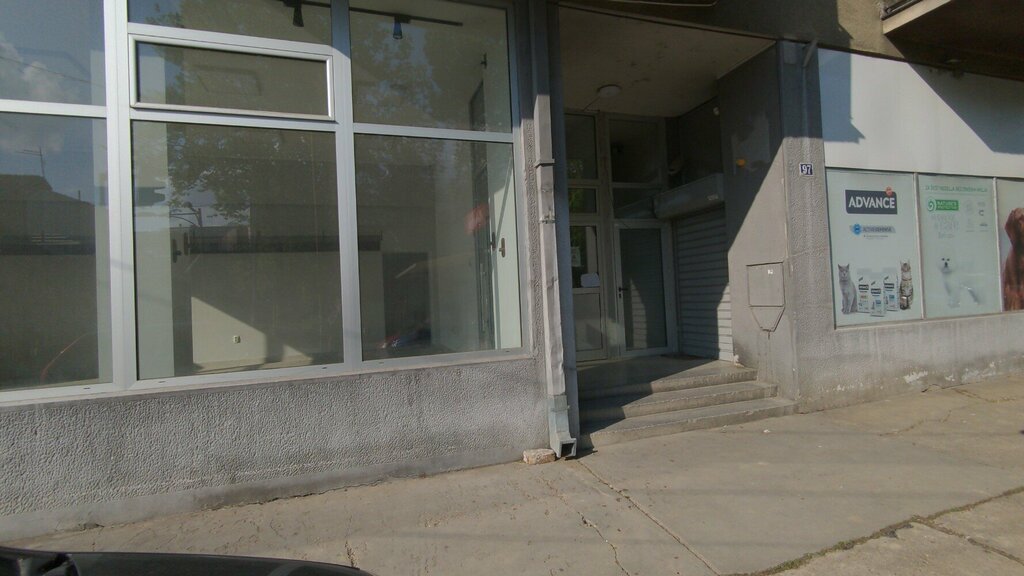 Petshop Pet Koncept, Belgrad, foto