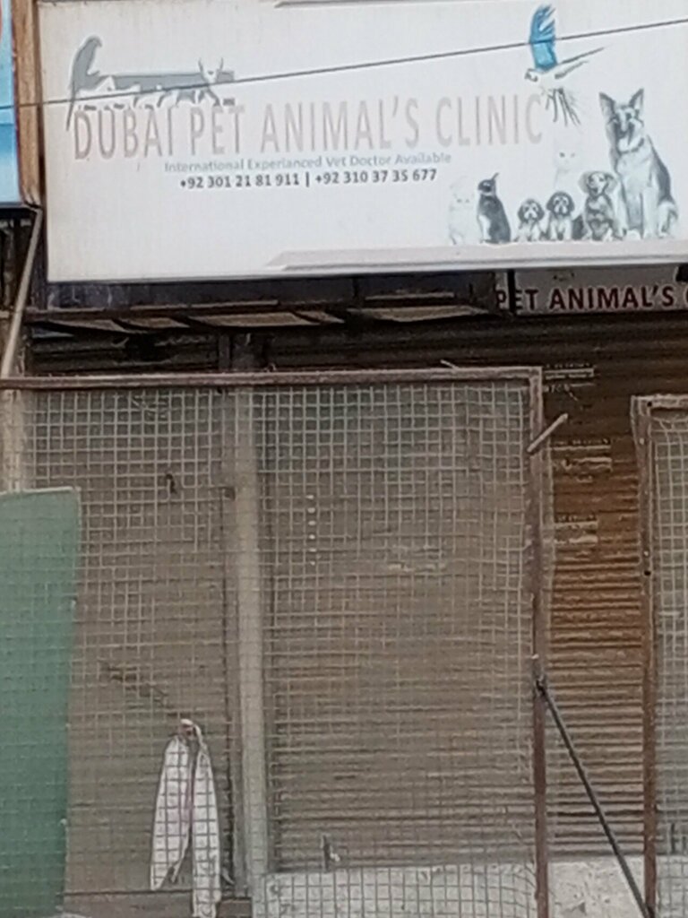 Veteriner klinikleri Dubai pet animal, Karaçi, foto