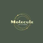 Molecule loft (Grayvoronovskaya Street No:25с8), düğün, toplantı salonu  Moskova'dan