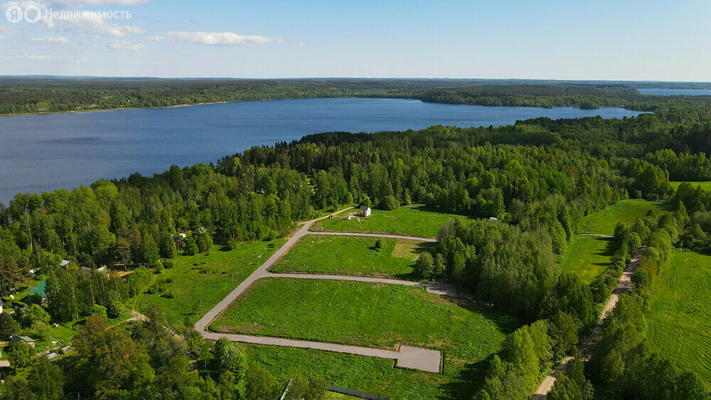 Yazlık yerleşim Озеро уДачи 2, Saint‑Petersburg ve Leningradskaya oblastı, foto