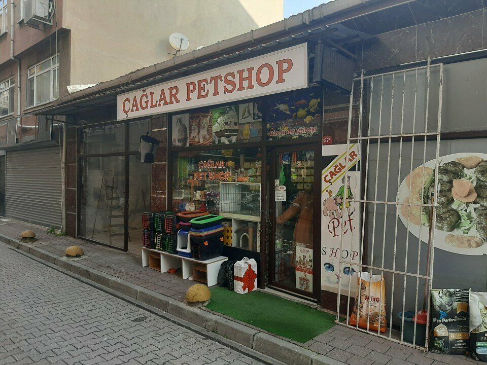 Petshop Çağlar Petshop, İstanbul, foto