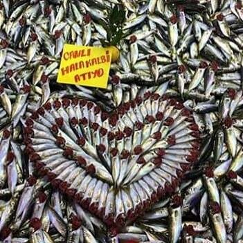 Restoran Emmioğlu Balik, İstanbul, foto