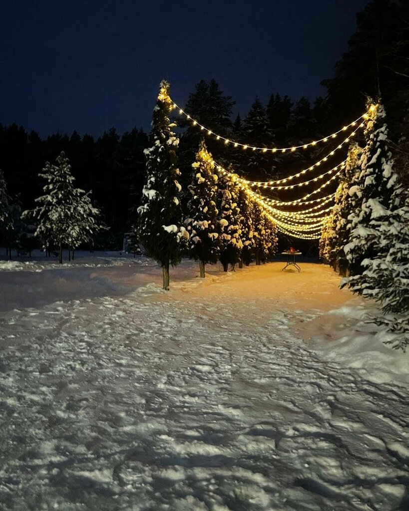 Konuk evi Forest studio, Tverskaya oblastı, foto