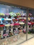 Цветы 24 (Lipetskaya Street No:7с3, Moscow), çiçekçiler  Moskova'dan
