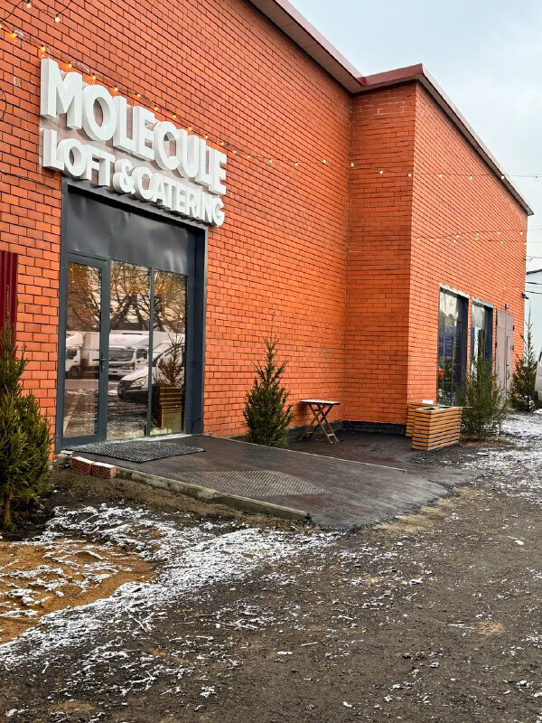 Düğün, toplantı salonu Molecule loft, Moskova, foto