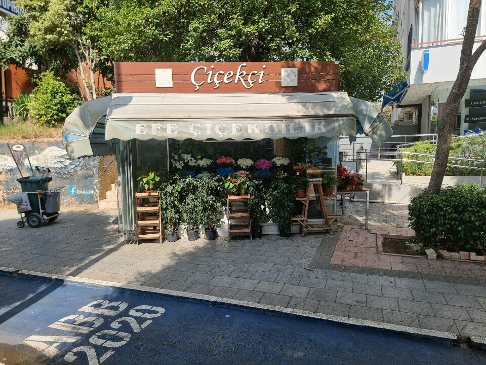 Çiçekçiler Efe Çiçekçilik, Adana, foto